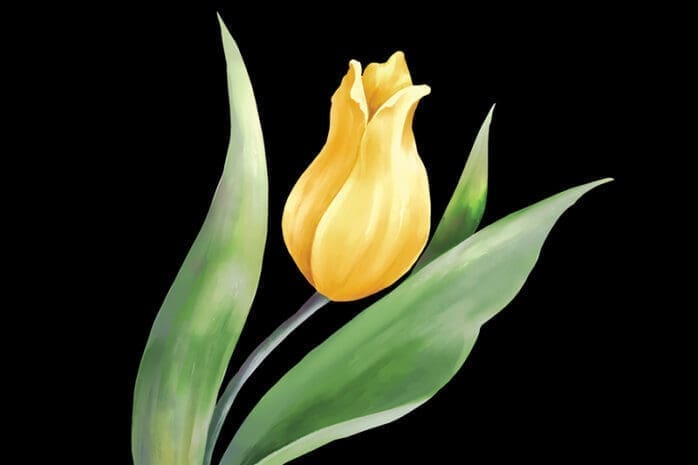 Gifts of the Emerging Therapist - Psychotherapy Networker